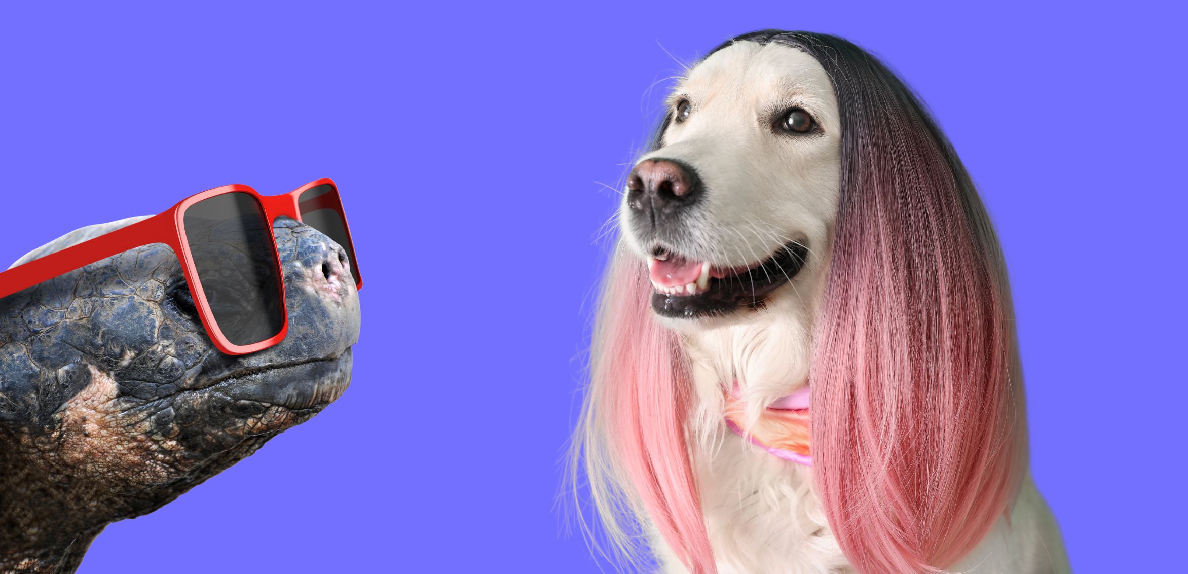 7 Funny Memes All Product Marketers Can Relate To | Reprise